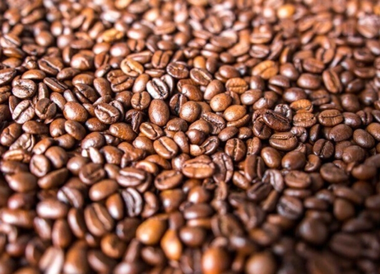Associação quer café de Timor como património protegido da UNESCO ...