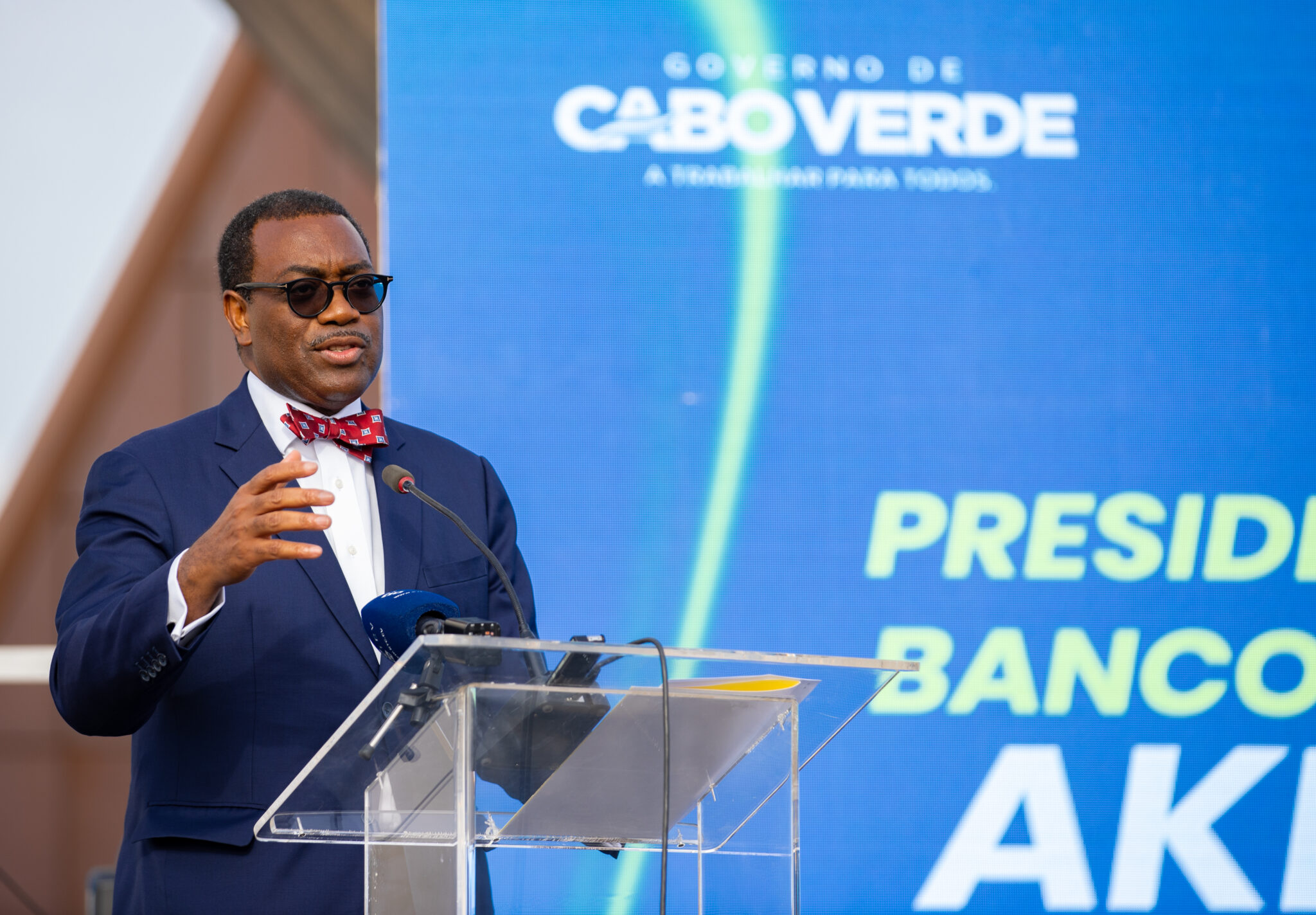 Em primeira mão: Walter Pacheco é o CEO da Kassai, a nova empresa de ...